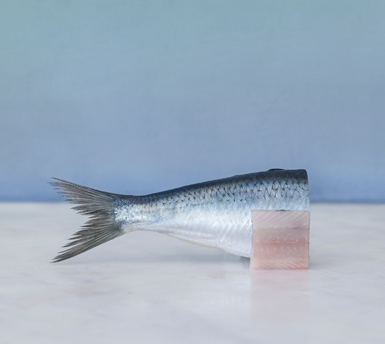 Arenque | Peixes e mariscos noruegueses | Seafood from Norway